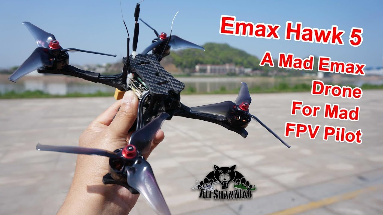 Emax Hawk 5 Maiden FPV Free styling around trees - YouTube
