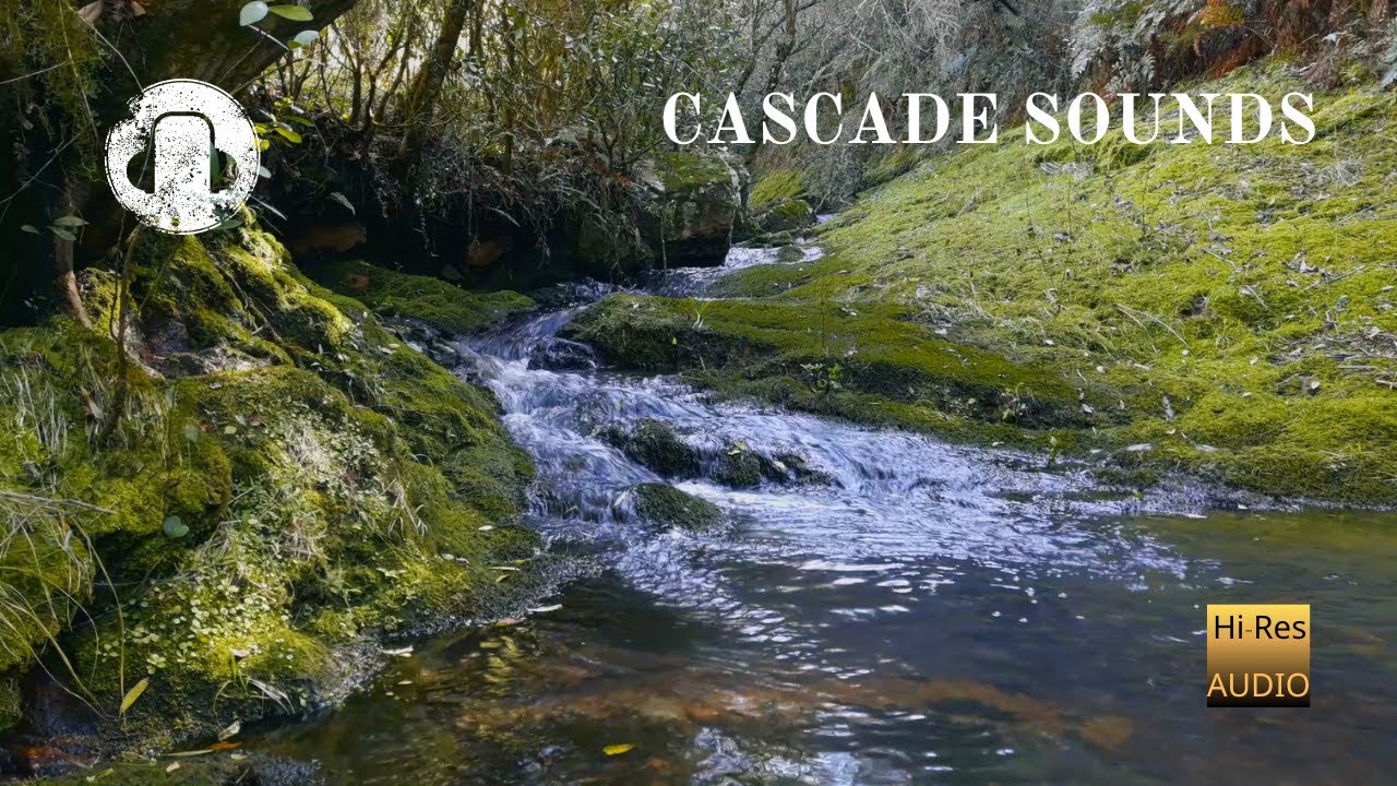 Forest Stream Cascade | Cascada | Relaxing Water Sounds | For Sleep ...