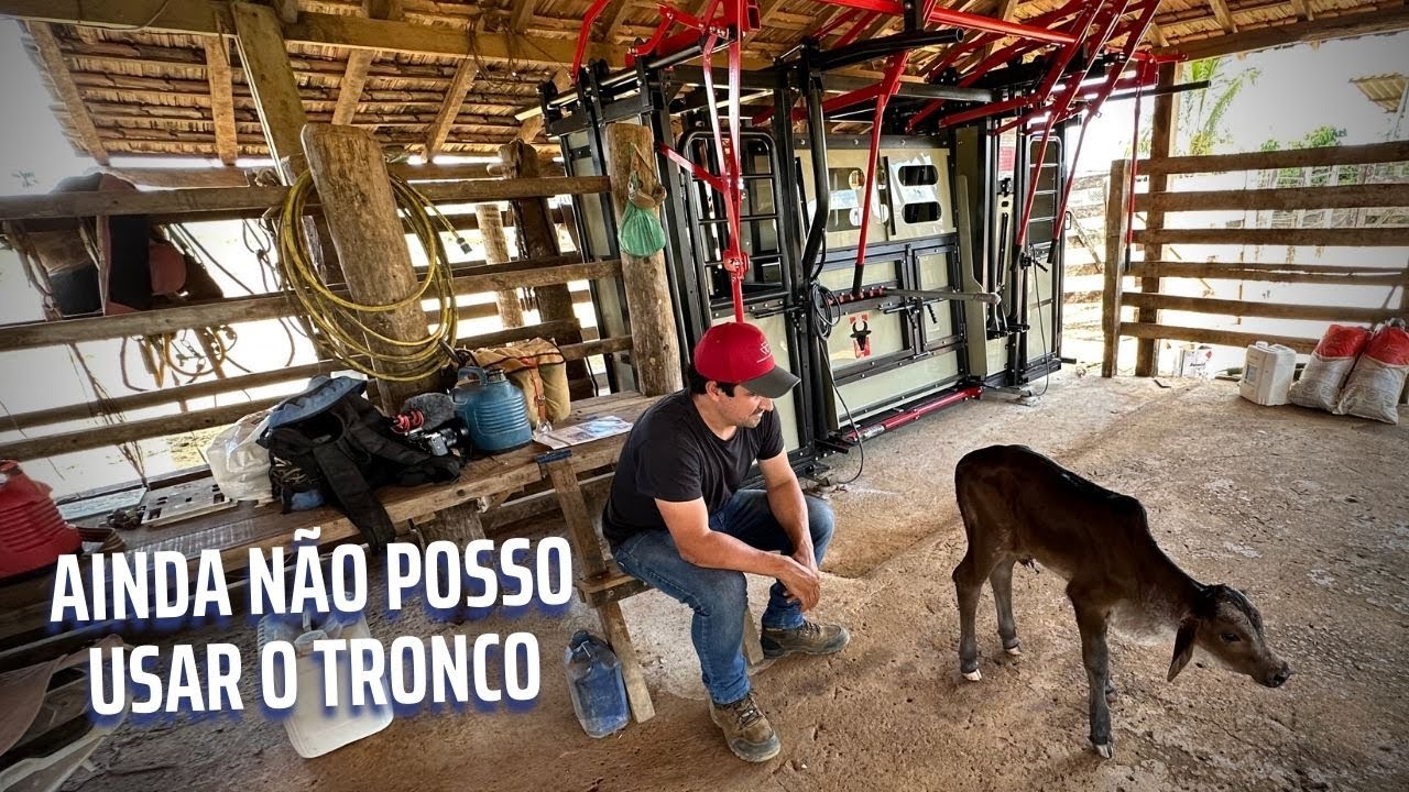 MUITO CUIDADO! AJUSTES FINAIS ANTES DE USAR O TRONCO COM BALANÇA. - YouTube