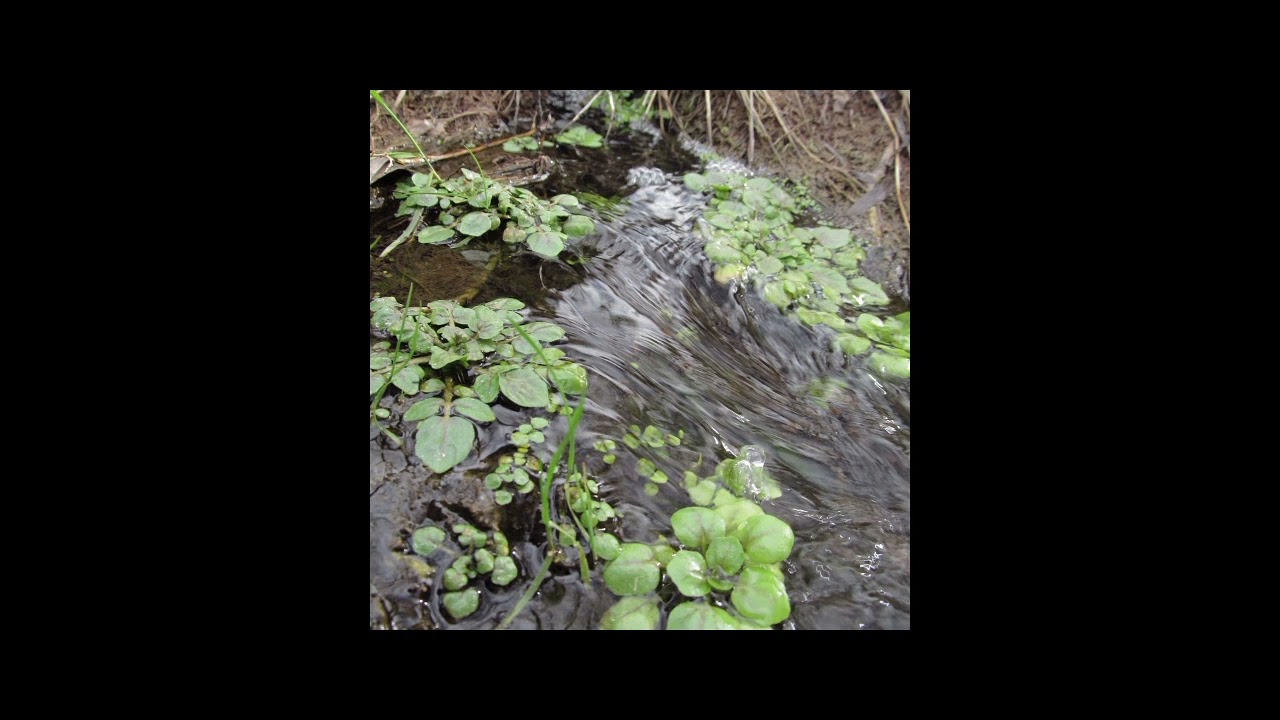 Mellow Flowing Water - YouTube