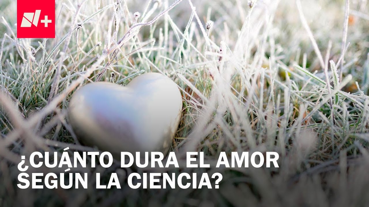 Día del amor y la amistad: ¿Cómo funciona el enamoramiento? - Despierta ...