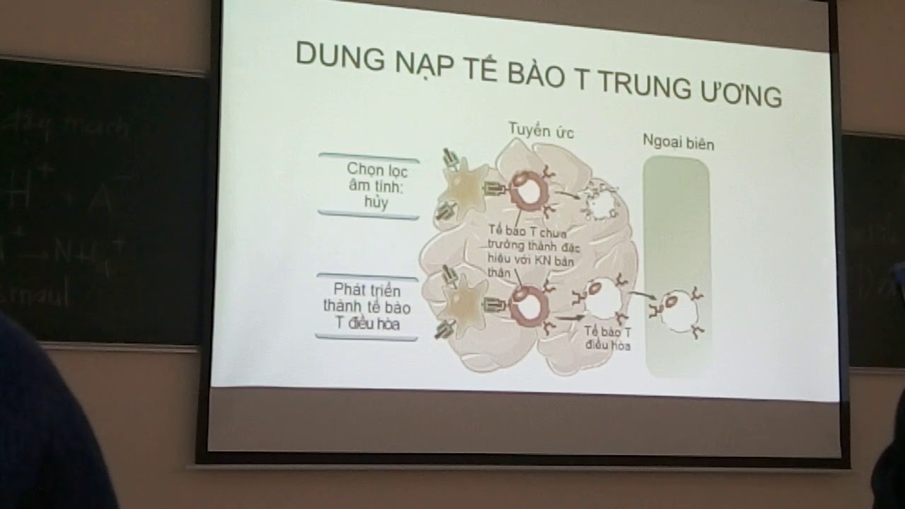 [SLB-MD] Dung nạp miễn dịch và bệnh lý tự miễn - YouTube