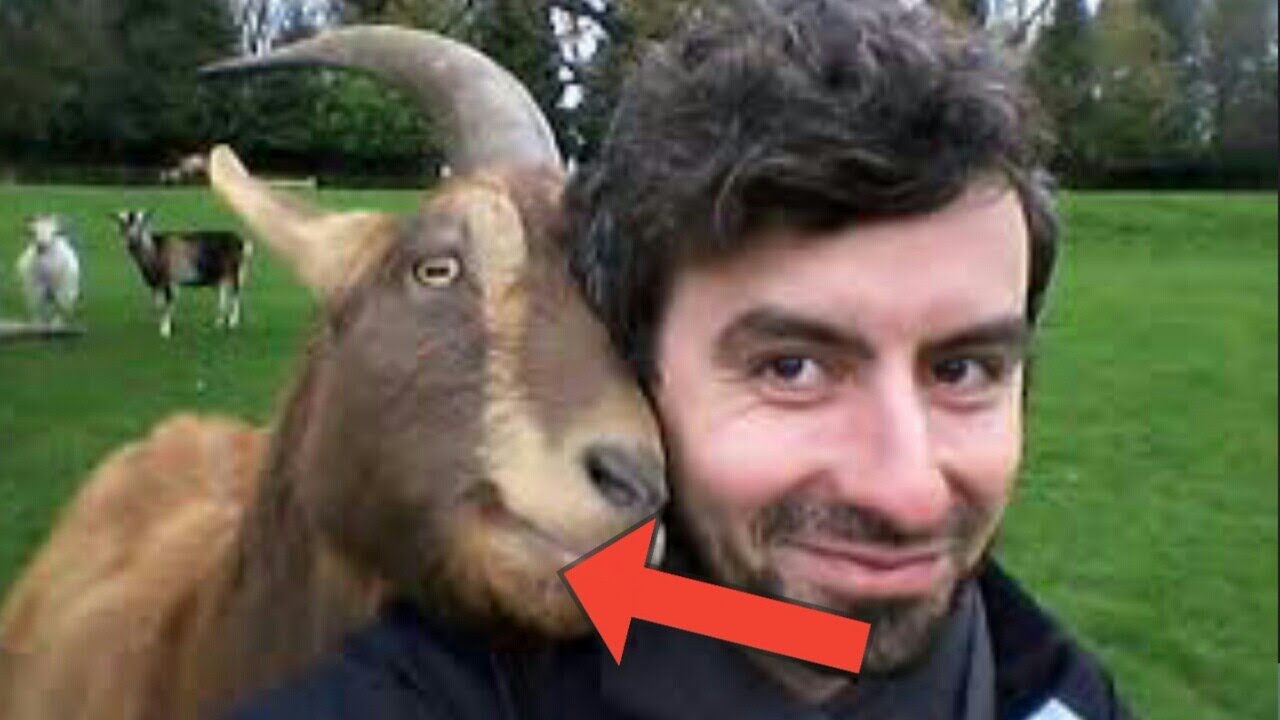 Man Rapping a helpless Goat ... Soo Sad - YouTube