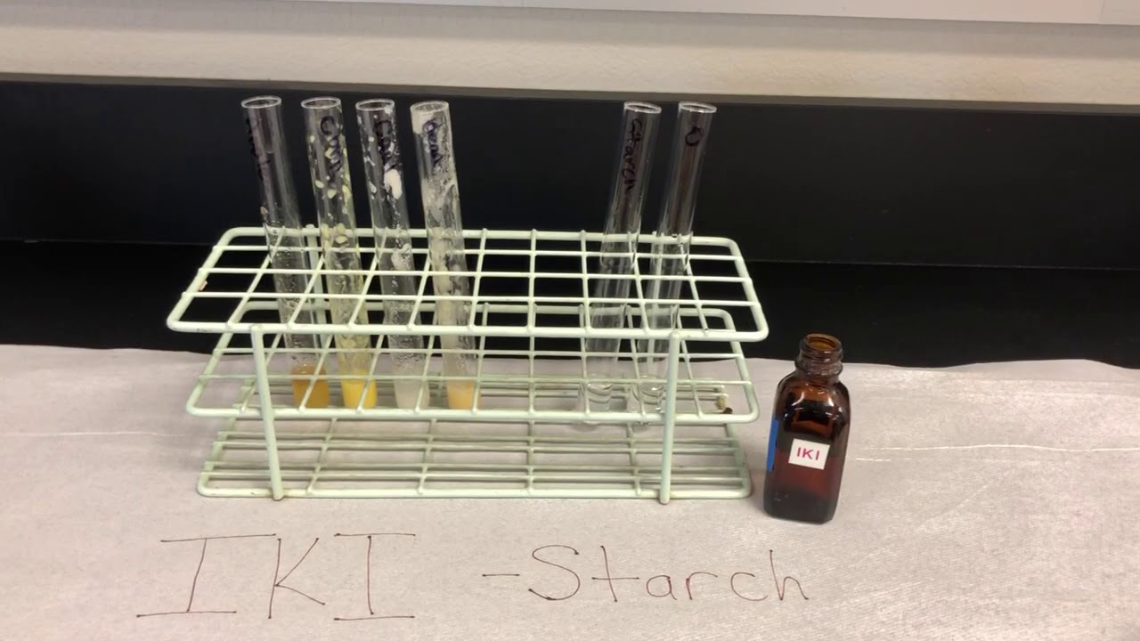 IKI- Starch Test - YouTube
