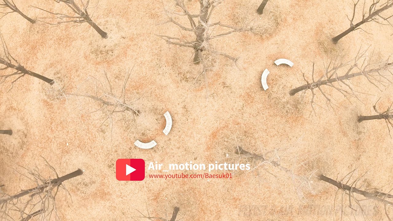 4k] loop loop...!!(rebirth helio) #drone #droneracing #freestyle #tree ...