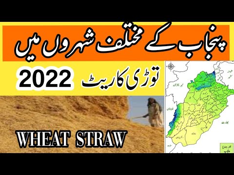 Wheat straw rate in Pakistan Wheat Bhusa, Toori Current rate in Punjab ...
