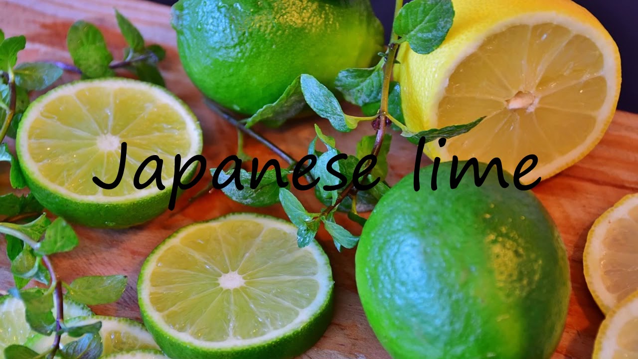 How to Pronounce Japanese lime? - YouTube