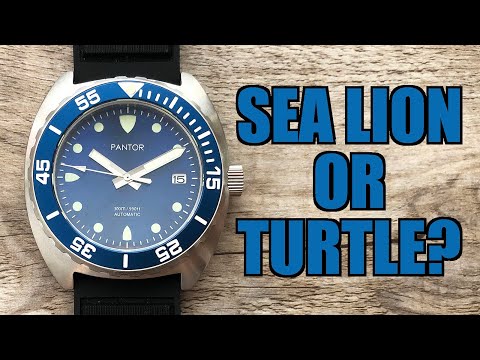 Not Another Diver!? Pantor Sealion Blue Automatic Dive Watch Review - Perth WAtch #379