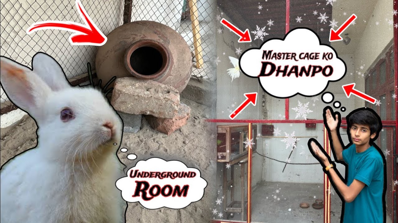 Huny buny ka room tyar ho gaya😁 | Sardiyan any sy pahly sa cages ko ...