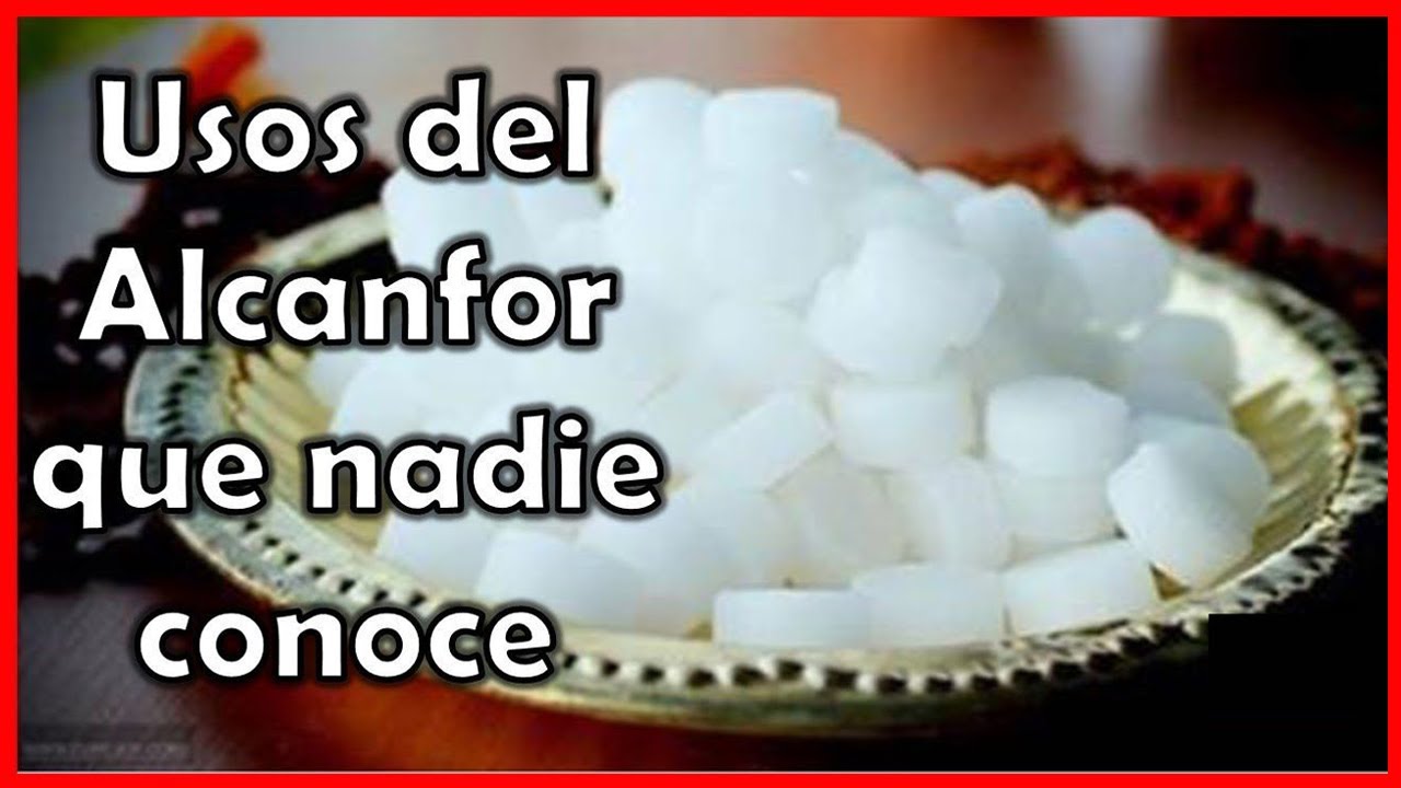 Has oído hablar alguna vez del Alcanfor?⬜ Para qué sirve el alcanfor ...