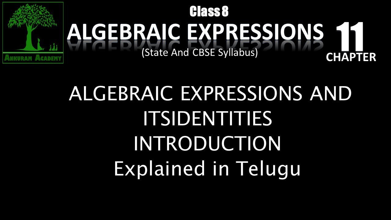 Class 8 Algebraic Expressions and its identities Exercise - 11.4 - YouTube