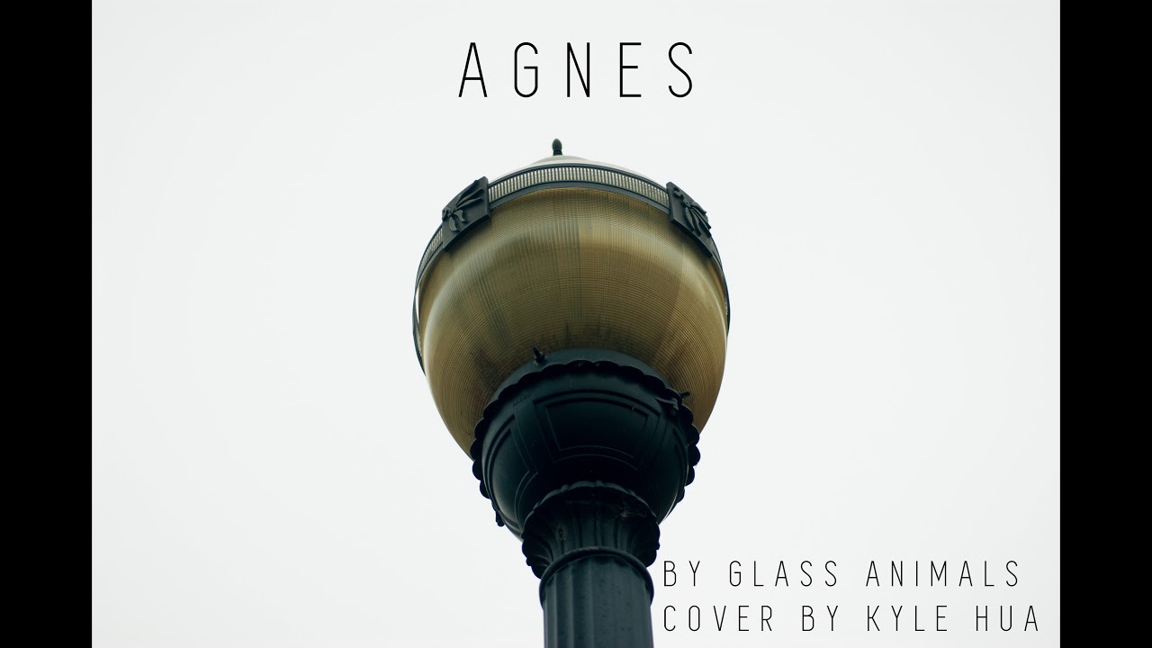 Glass Animals - Agnes (cover by Kyle Hua) - YouTube