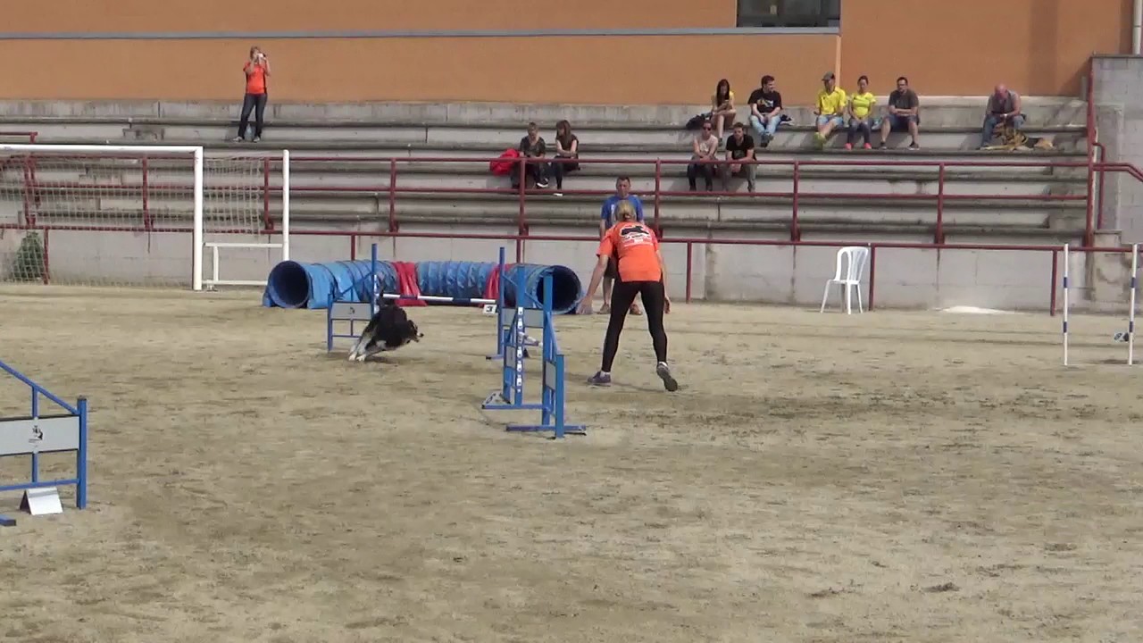 Beep Copa Catalunya FCAG Equips 3-06-17 Jumping - YouTube