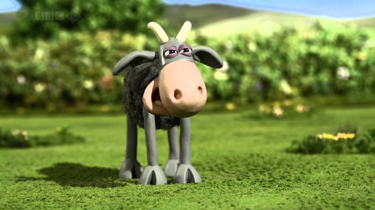 Shaun.The.Sheep.S03E02.720p.HDTV.x264-SFM - YouTube
