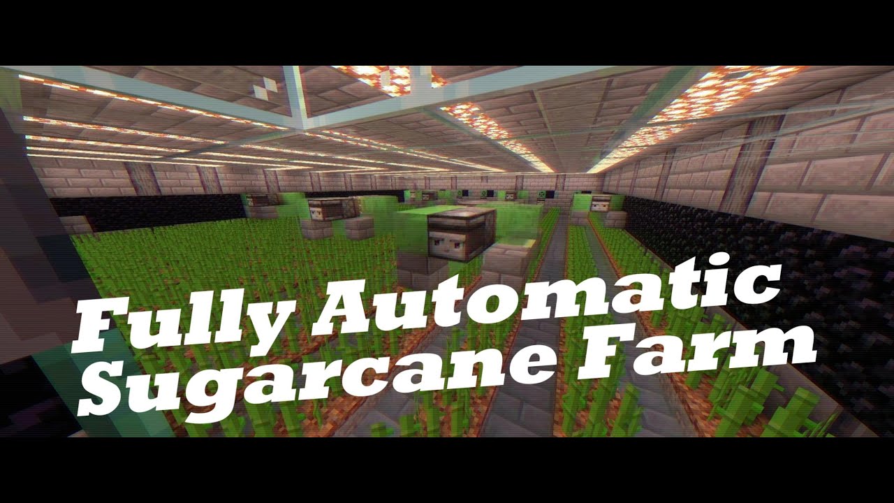 Fully Automatic Sugarcane Farm Java 1.21.3 - YouTube