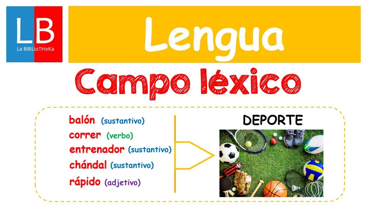 CAMPO LÉXICO para niños 👩‍🏫 PRIMARIA - YouTube