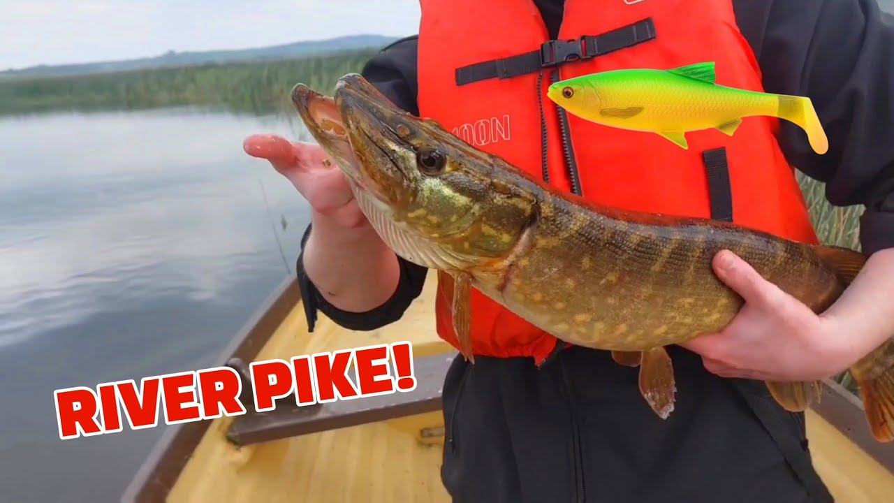 Trolling for river pike with paddle tail lures - YouTube