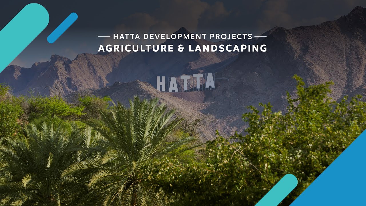 Hatta Development Projects - Agriculture & Landscaping - YouTube