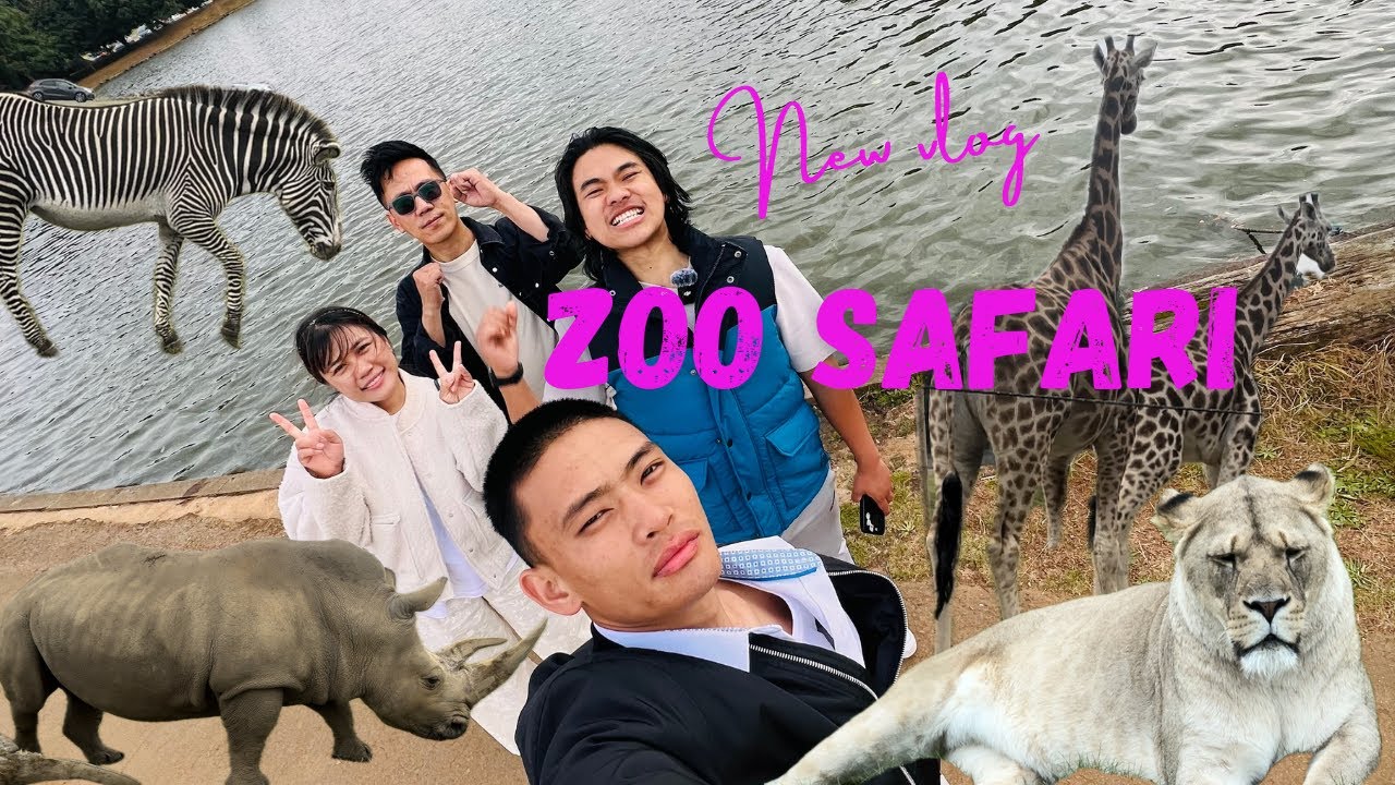 Zoo safari 🤩 life na naya experience gareyo 🔥kada kada - YouTube