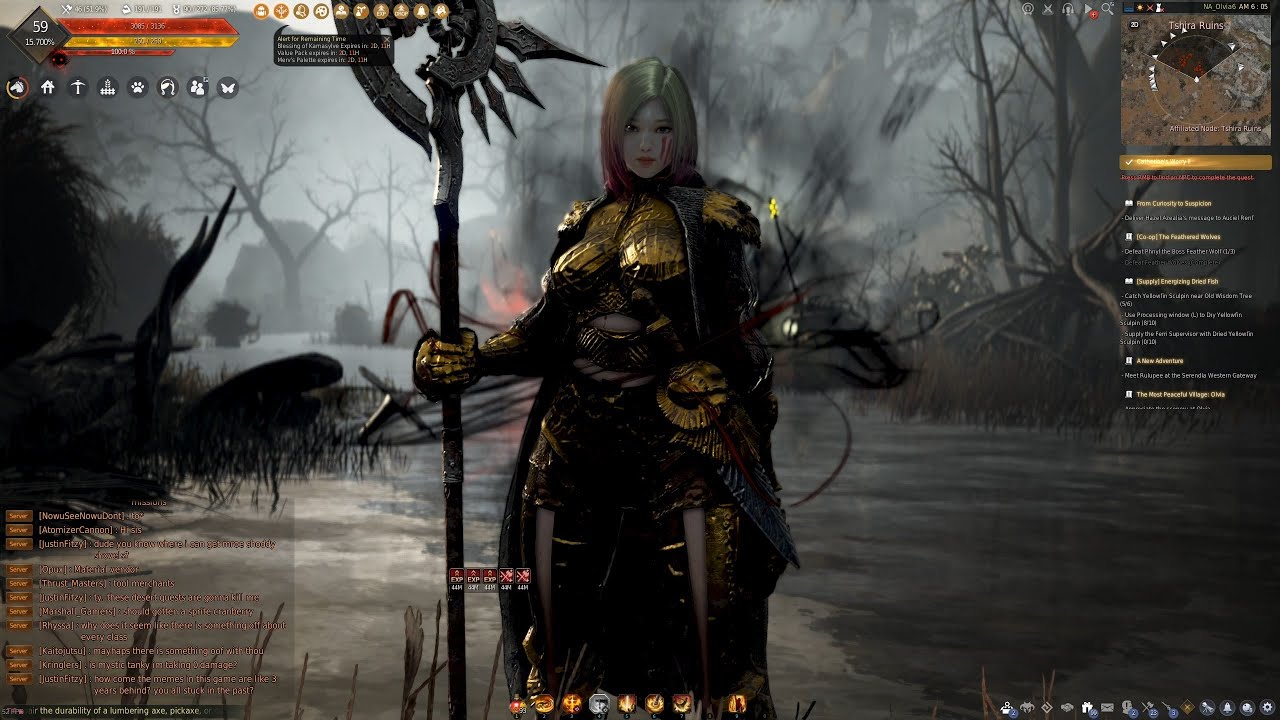 BDO: Random Awakening Guardian grinding - YouTube