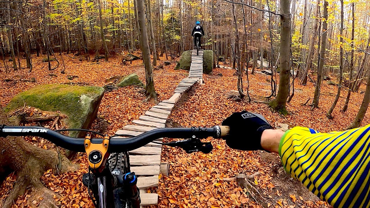 HARDTAIL FREERIDE aneb jak nám Rychlebské stezky vyklepaly kosti - BIKE ...