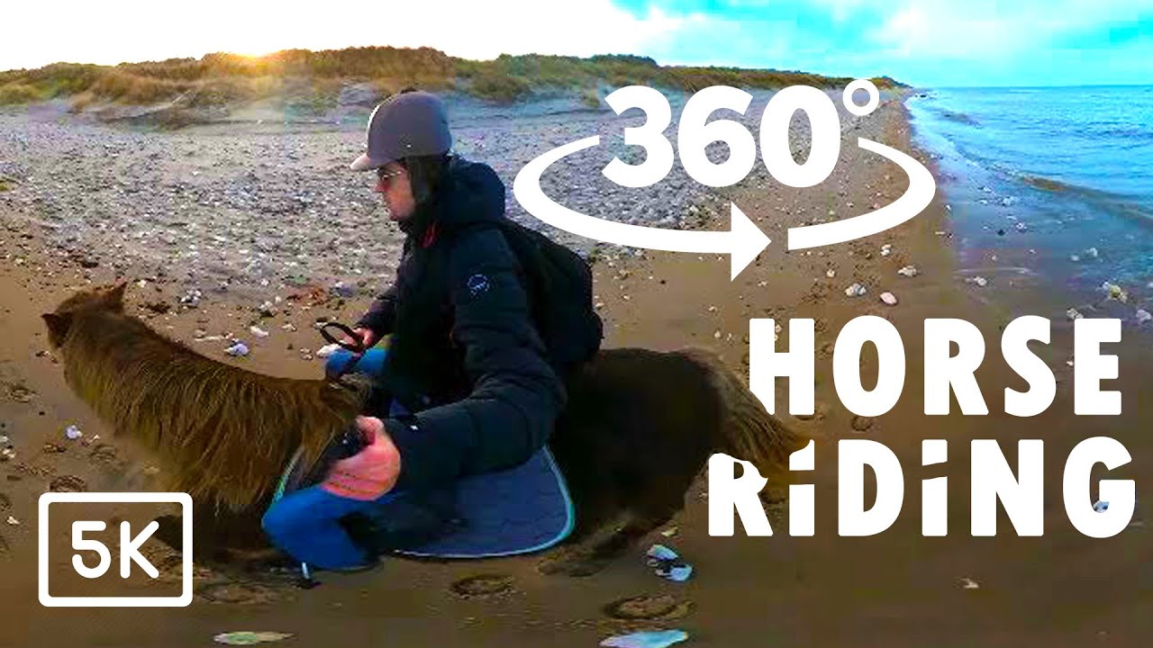 Horse Riding in 360° VR - YouTube