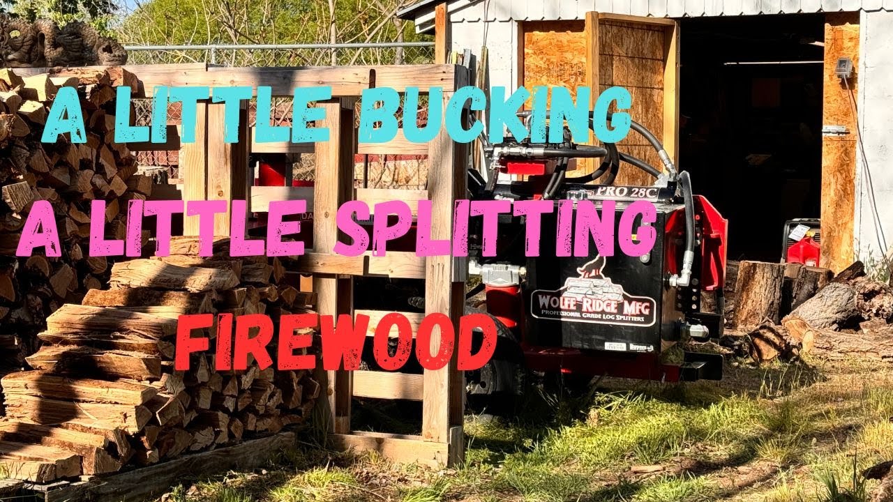 Making Some Firewood!!! Bucking & Splitting-Still 271 Chainsaw & Wolfe ...