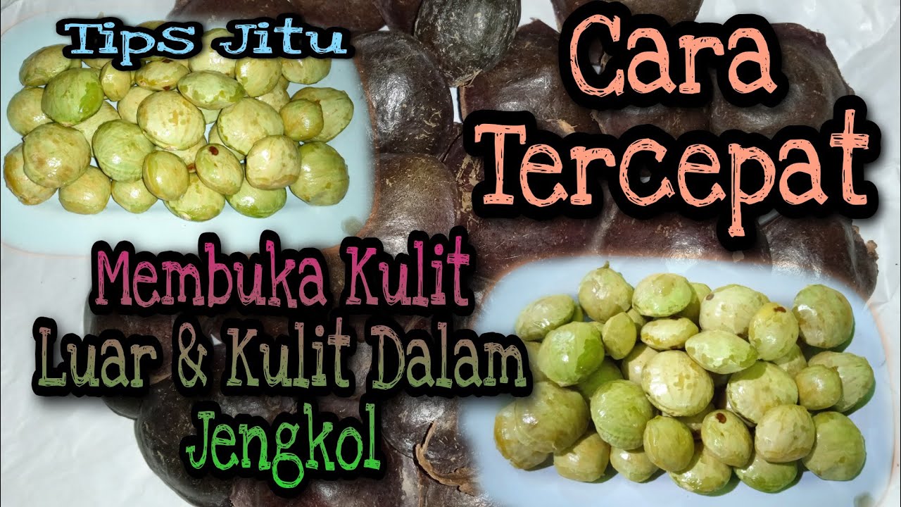 Cara Tercepat Mengupas Kulit Luar & Kulit Bagian Dalam Jengkol‼️ Tips ...