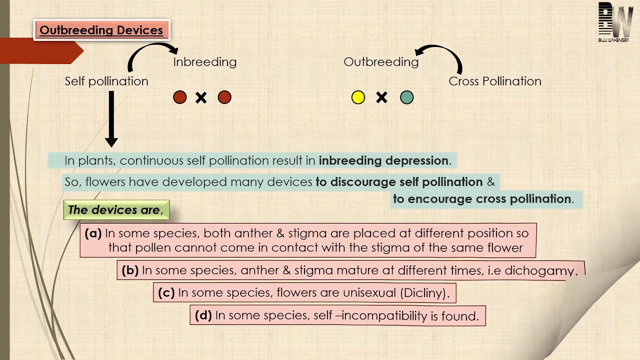 Biology Chapter 2 Sexual Reproduction in Plant Lec 5 (outbreeding ...