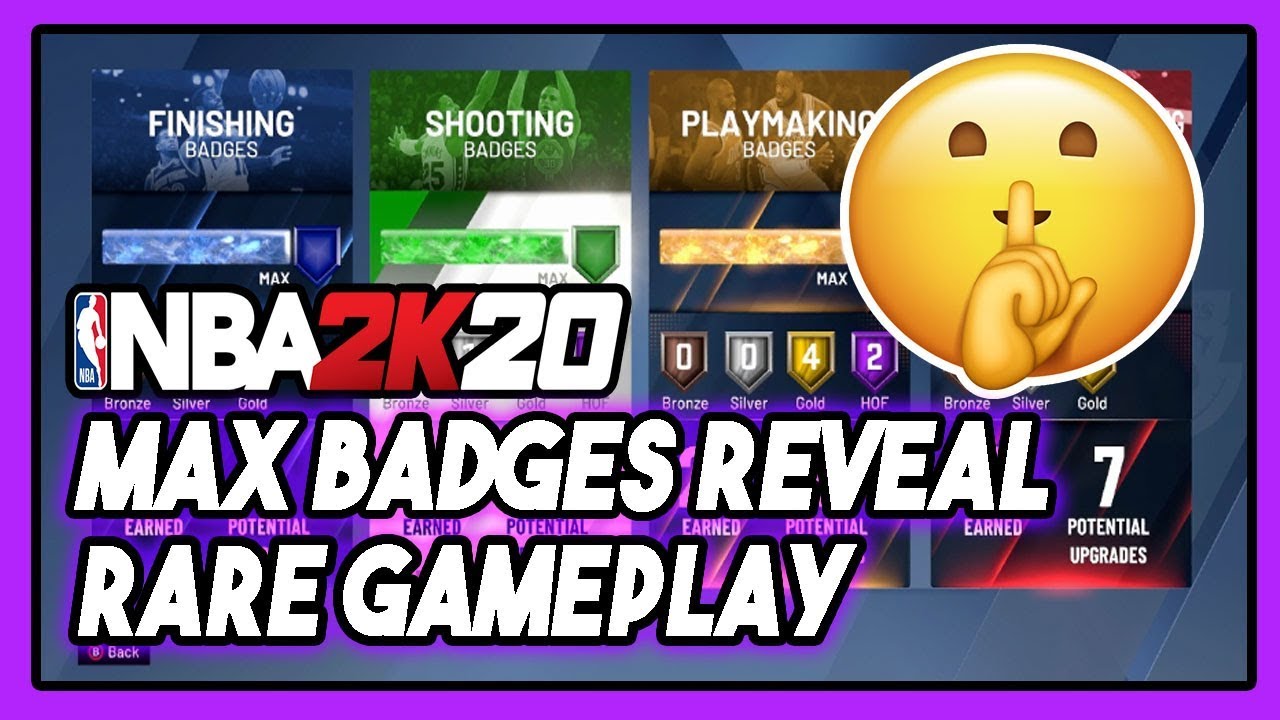 NBA 2K20 SECRET MAX BADGES REVEALED + RARE THE GREAT DENSKI PARK ...
