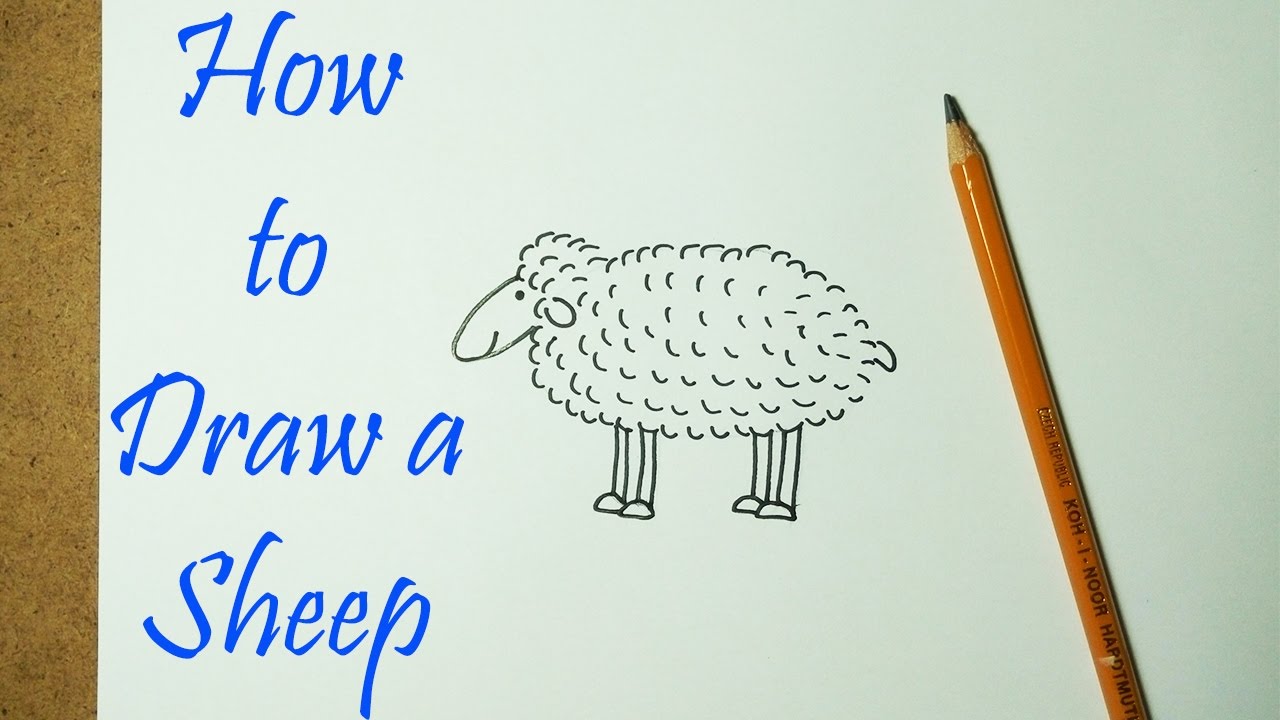 How To Draw a Sheep Step By Step. VERY EASY - YouTube