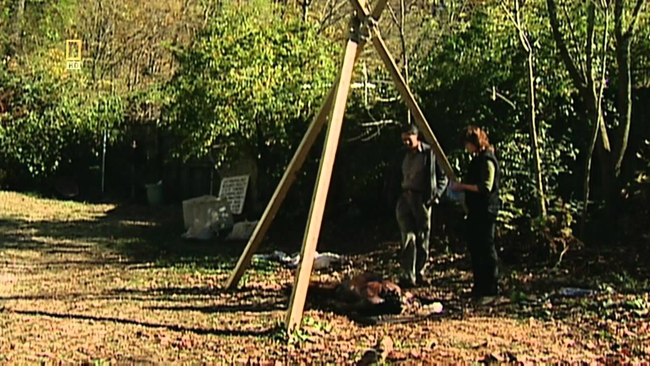 Die Rätsel der Toten - Biographie einer Leiche Doku [HD] - YouTube