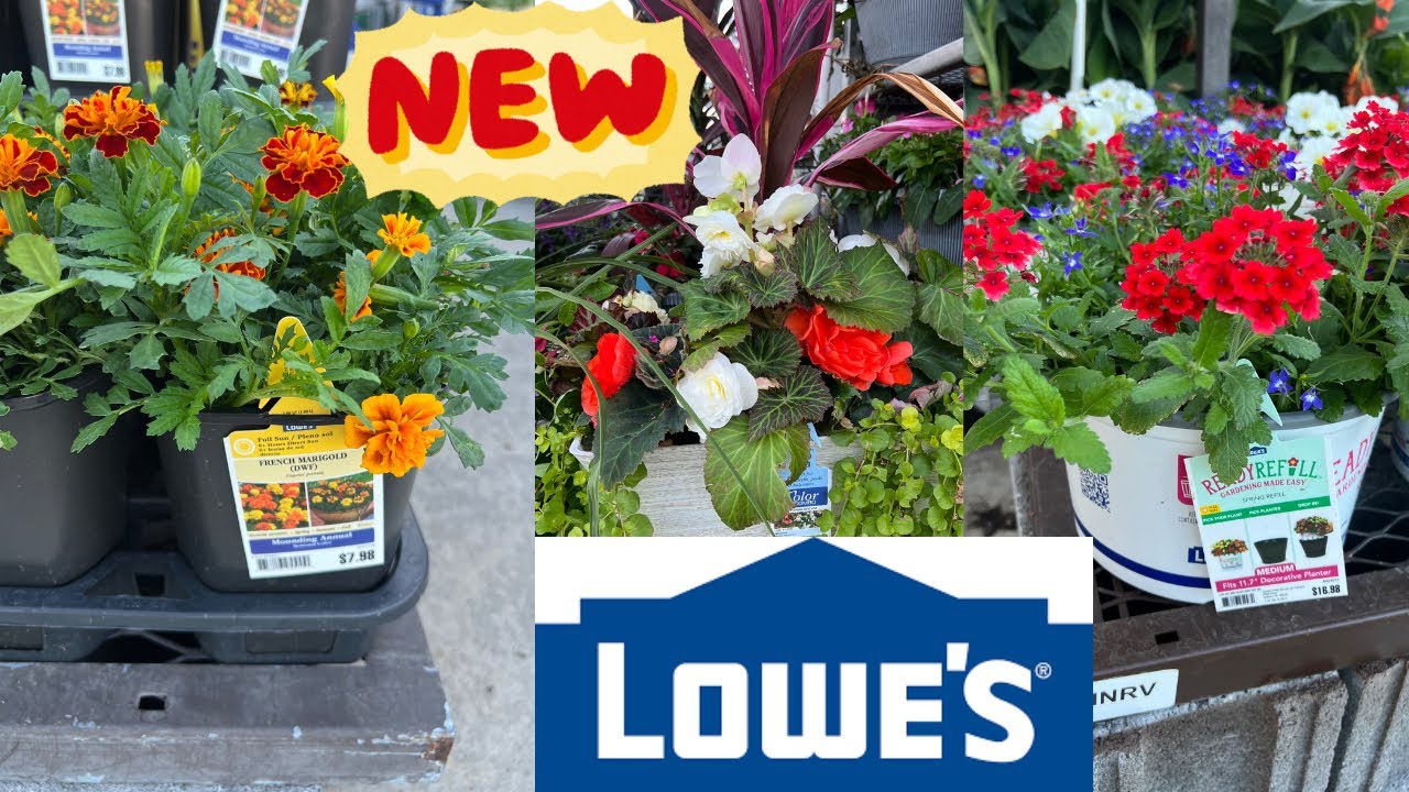 LOWE'S | HOW TO MAKE YOUR GARDEN BEAUTIFUL? | WHAT FLOWERS TO BUY AT ...