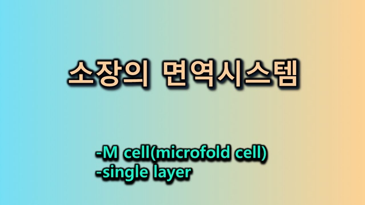 소장의 면역시스템- M cell(microfold cell)- single layer - YouTube