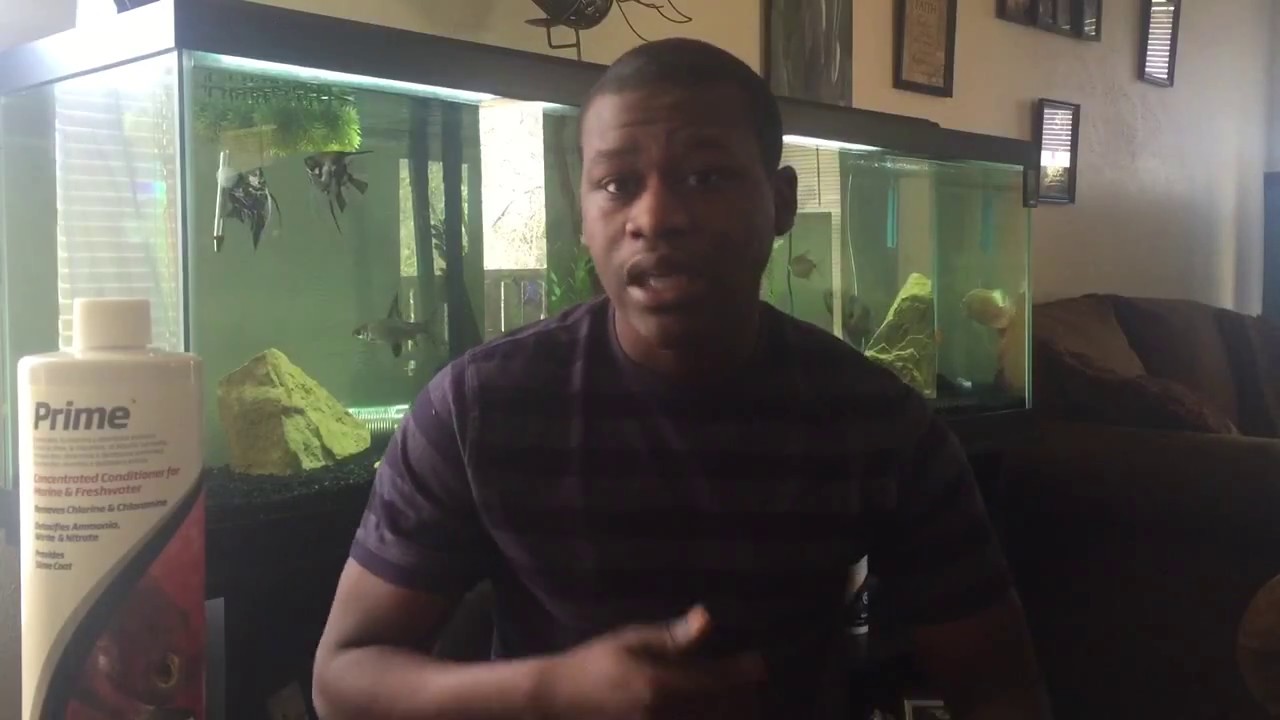 Choosing A Dechlorinator For Fish Tank! - YouTube