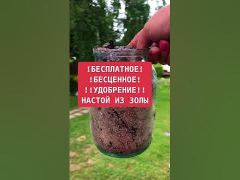 БЕСПЛАТНОЕ! БЕСЦЕННОЕ УДОБРЕНИЕ 🔥🔥🔥 - YouTube