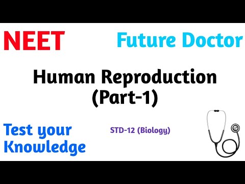 Human Reproduction STD-12 (Biology) test/quiz (part-1) #botany #zoology ...