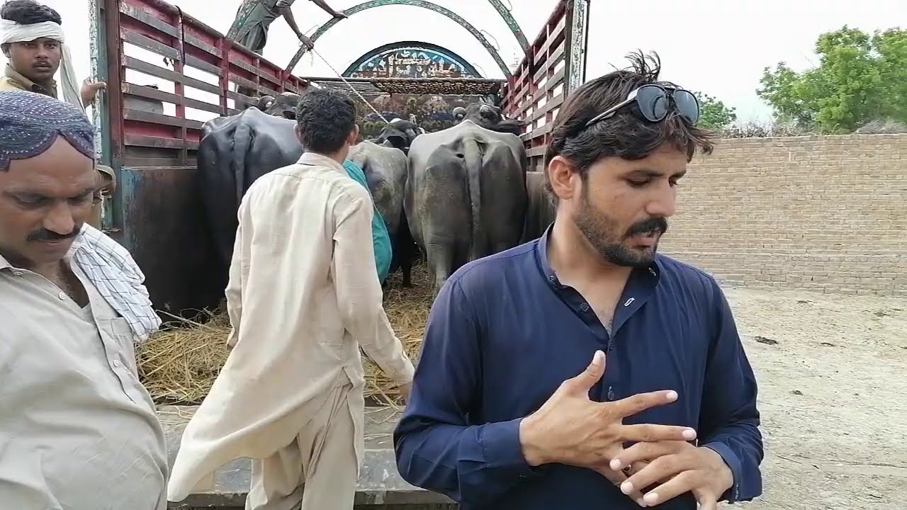 Watch subcriber usama bhai rawalpindi - YouTube