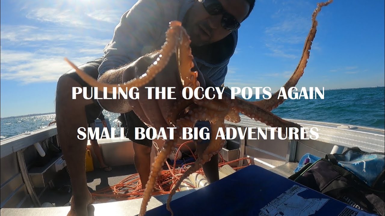 CHECKING AND RESETTING THE OCCY POTS - RETURN OF THE CRACK! - YouTube