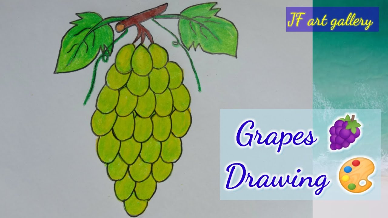 How to draw grapes very easy way | Grapes Drawing | Easy Drawing - YouTube