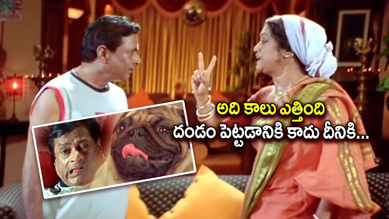 Rama Prabha & M. S. Narayana Hilarious Comedy Scene | Comedy Express ...