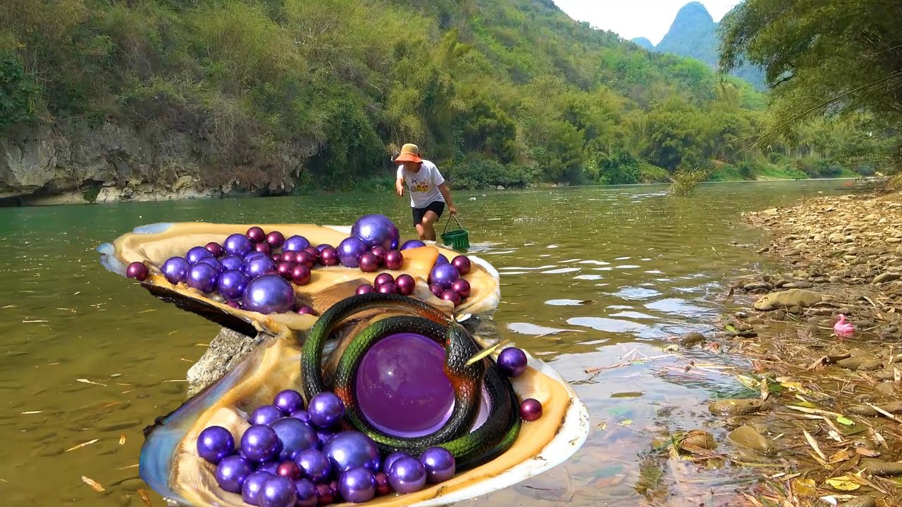 Mutated Red Clam, Village Flower Harvests Super Beautiful Purple Red ...