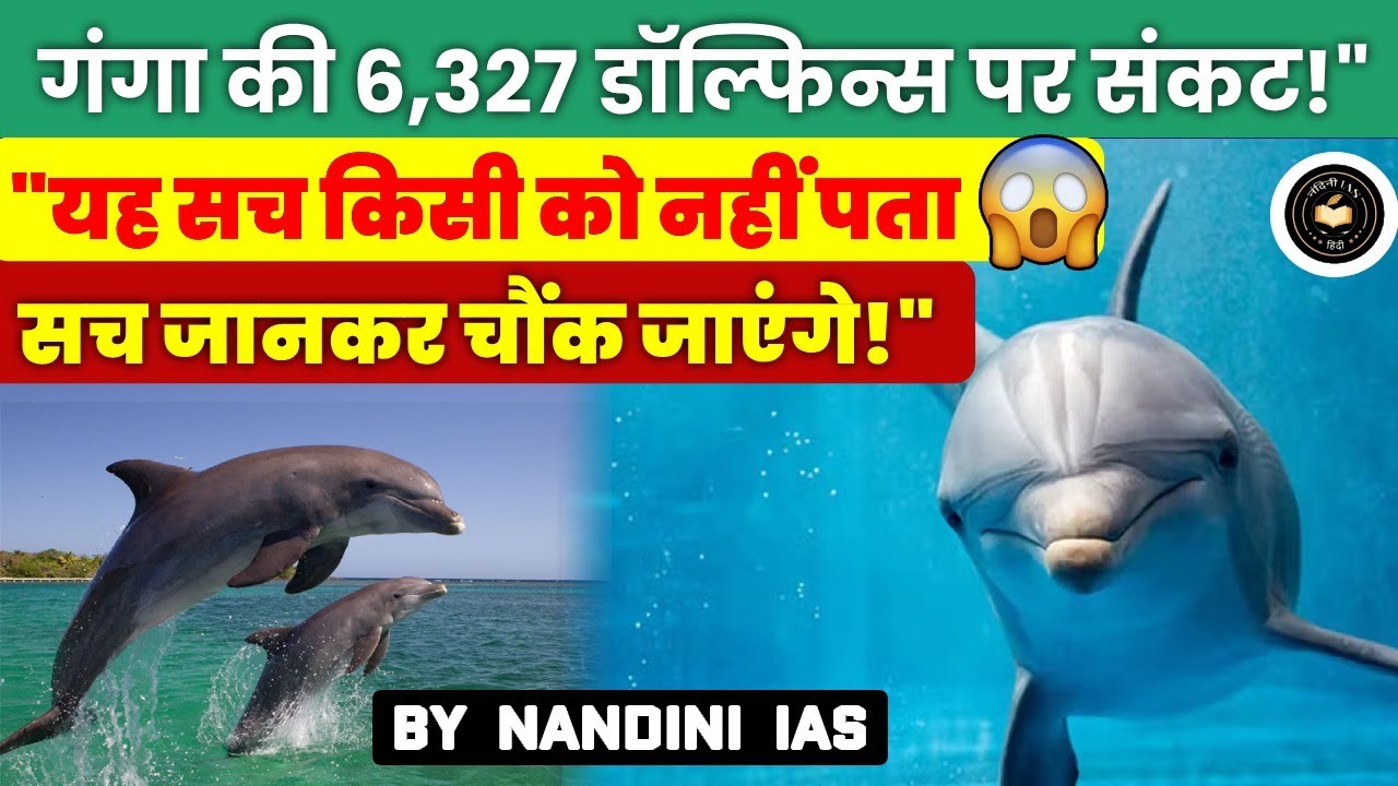 Crisis on 6,327 Ganges Dolphins! | The Hidden Truth Will Shock You! | By Nandini IAS - YouTube
