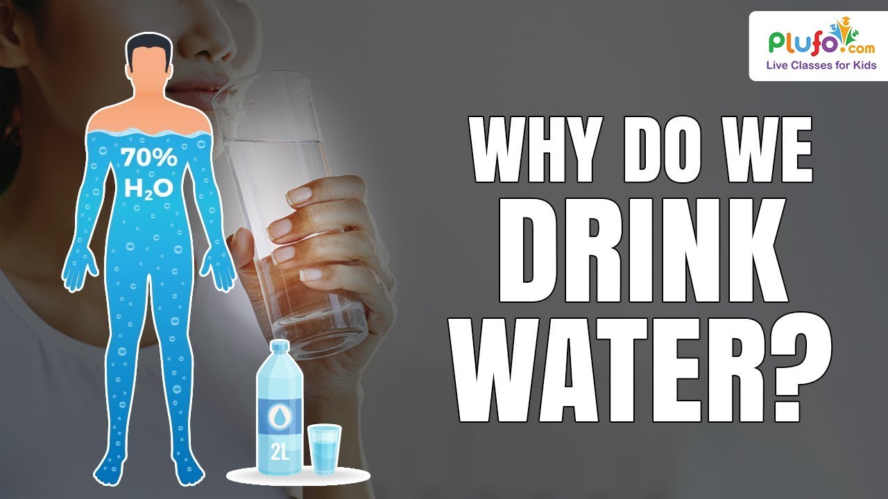 Why Do We Drink Water? | Drinking Water | Educational Videos for ...