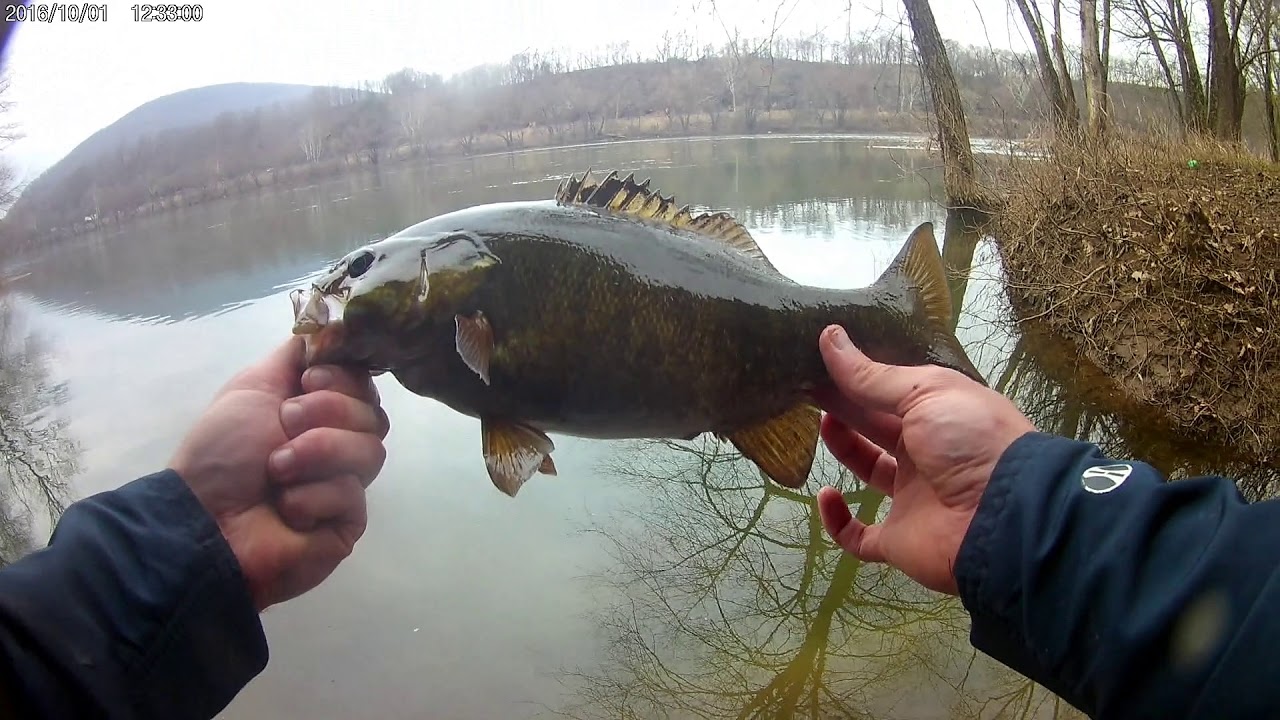 Fishing the Juniata River for my First Smallmouth of 2019! - YouTube