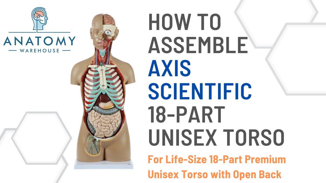Assembly & Disassembly of the Axis Scientific 18-Part Premium Unisex ...