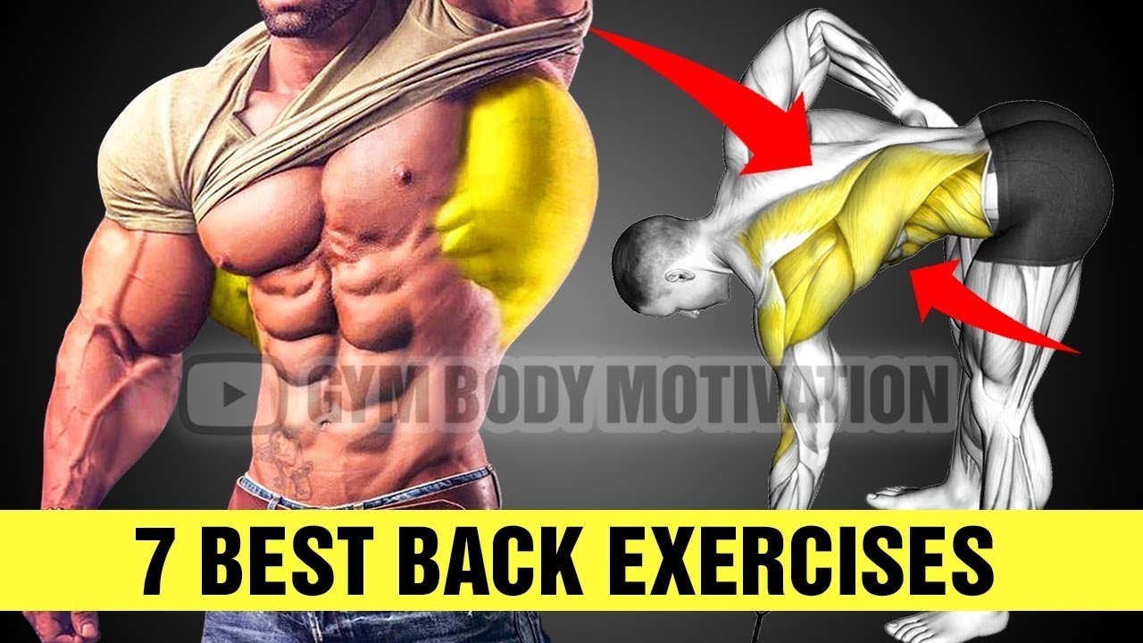 7 best back exercises:back exercises/Best Back Exercises To Build ...