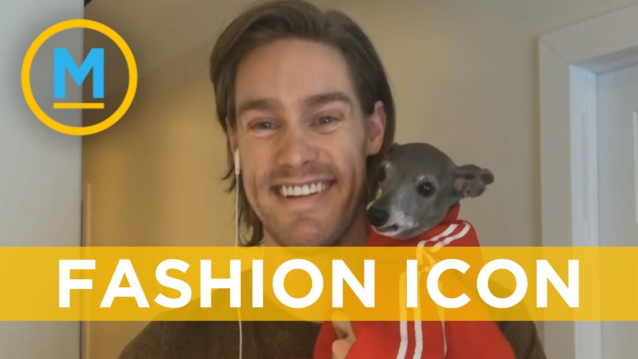 Meet Tika the Iggy, the fashionable greyhound taking social media by ...