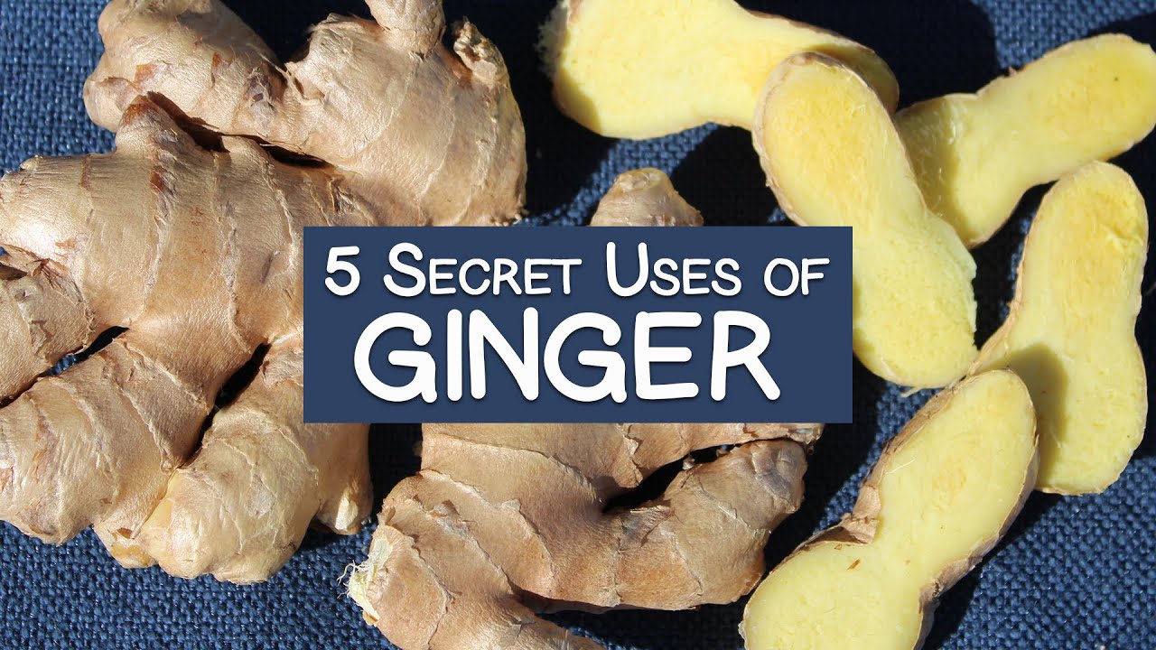 5 Secret Uses of Ginger Root - YouTube