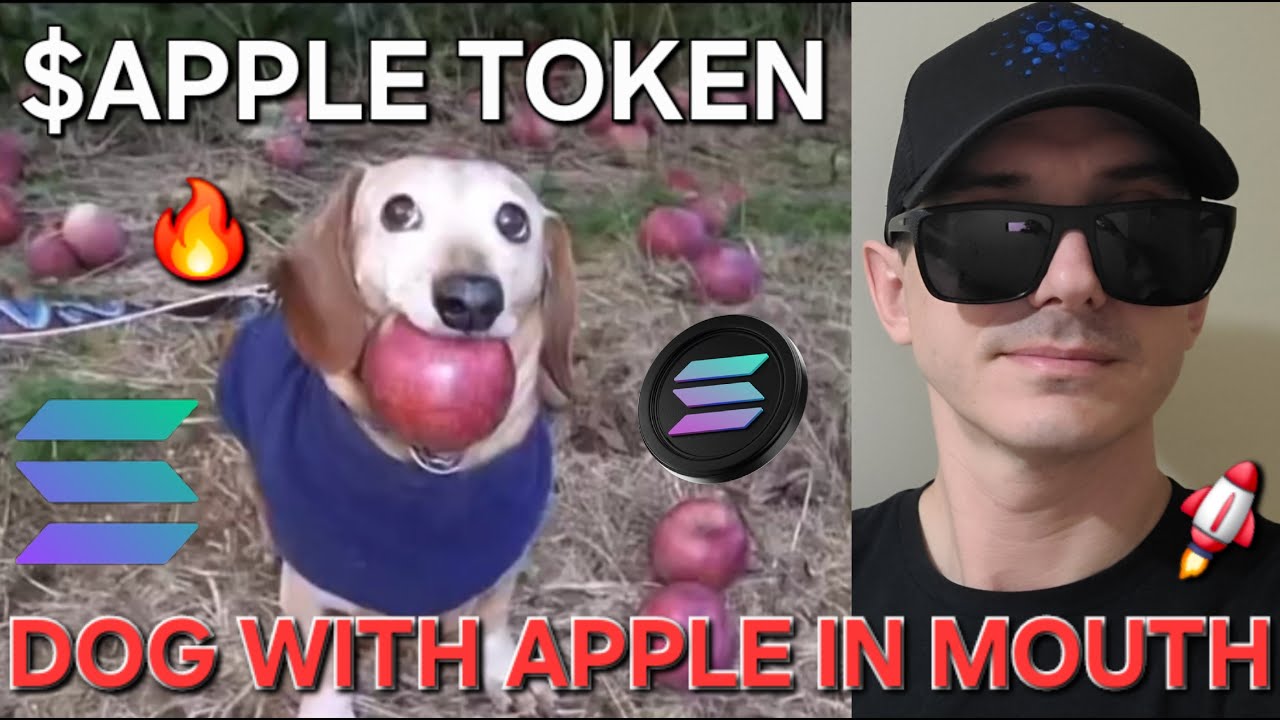 $APPLE - DOG WITH APPLE IN MOUTH TOKEN CRYPTO COIN HOW TO BUY TIKTOK ...